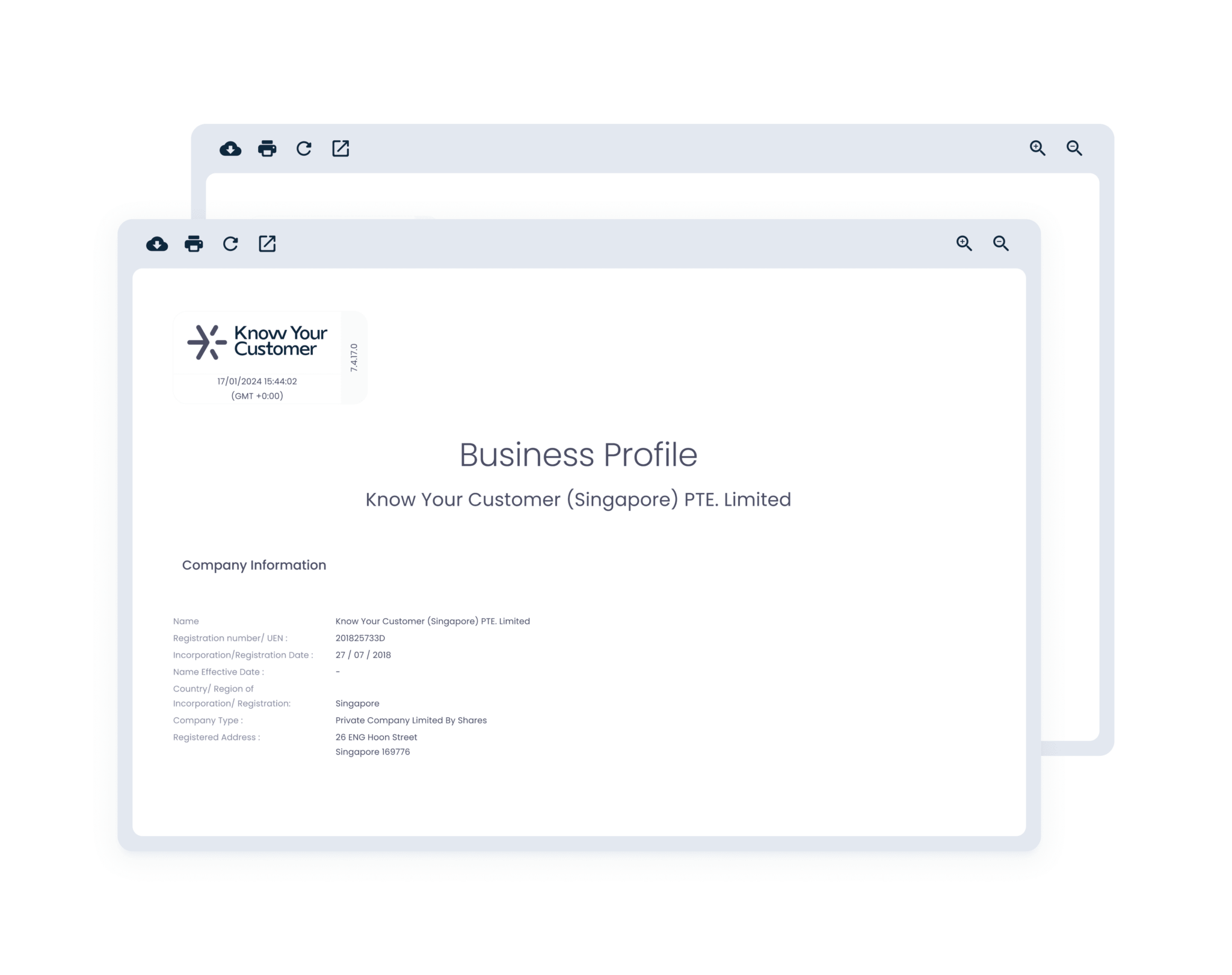 KYC Data: Real-Time Registry Access | Know Your Customer Ltd